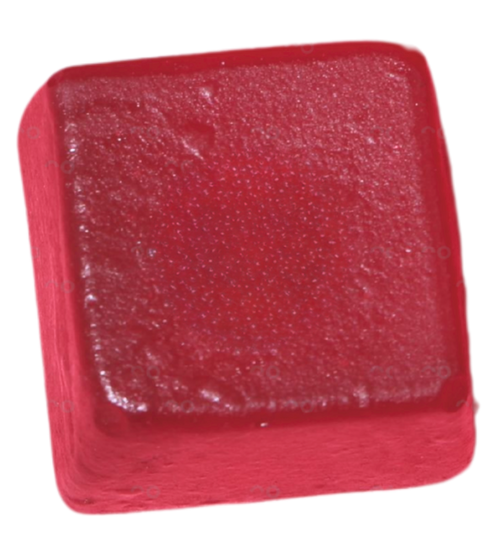 The Gut Gummy™